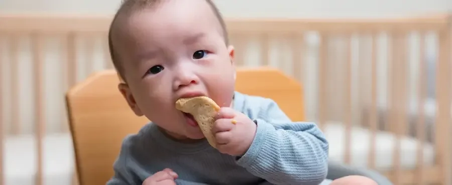 15 Cemilan Bayi 8 Bulan yang Bergizi dan Mudah Dibuat Mama