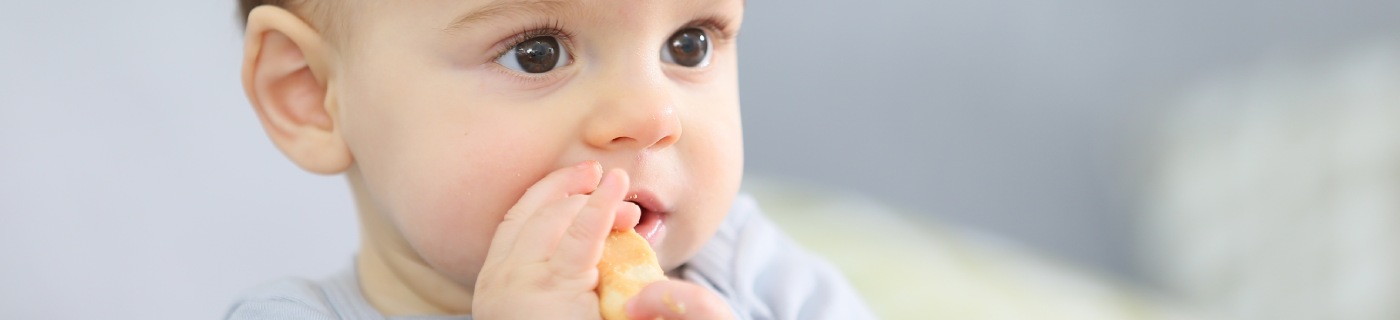 11 Camilan Bayi 8 Bulan yang Lezat dan Mudah Dibuat