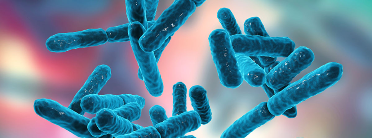 Yuk, Kenalan dengan Probiotik untuk Anak!